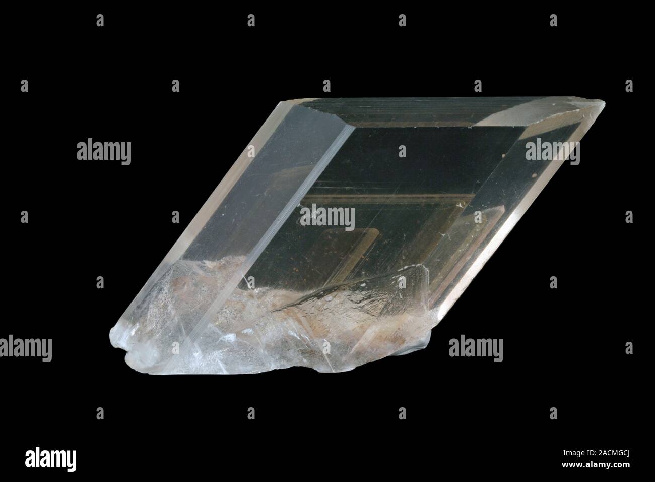 Gypsum crystal variety Selenite, Chihuahua, Mexico. Specimen courtesy ...