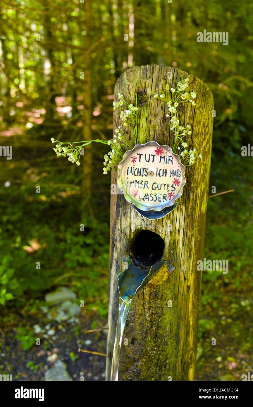 Water from a spring hi-res stock photography and images - Alamy