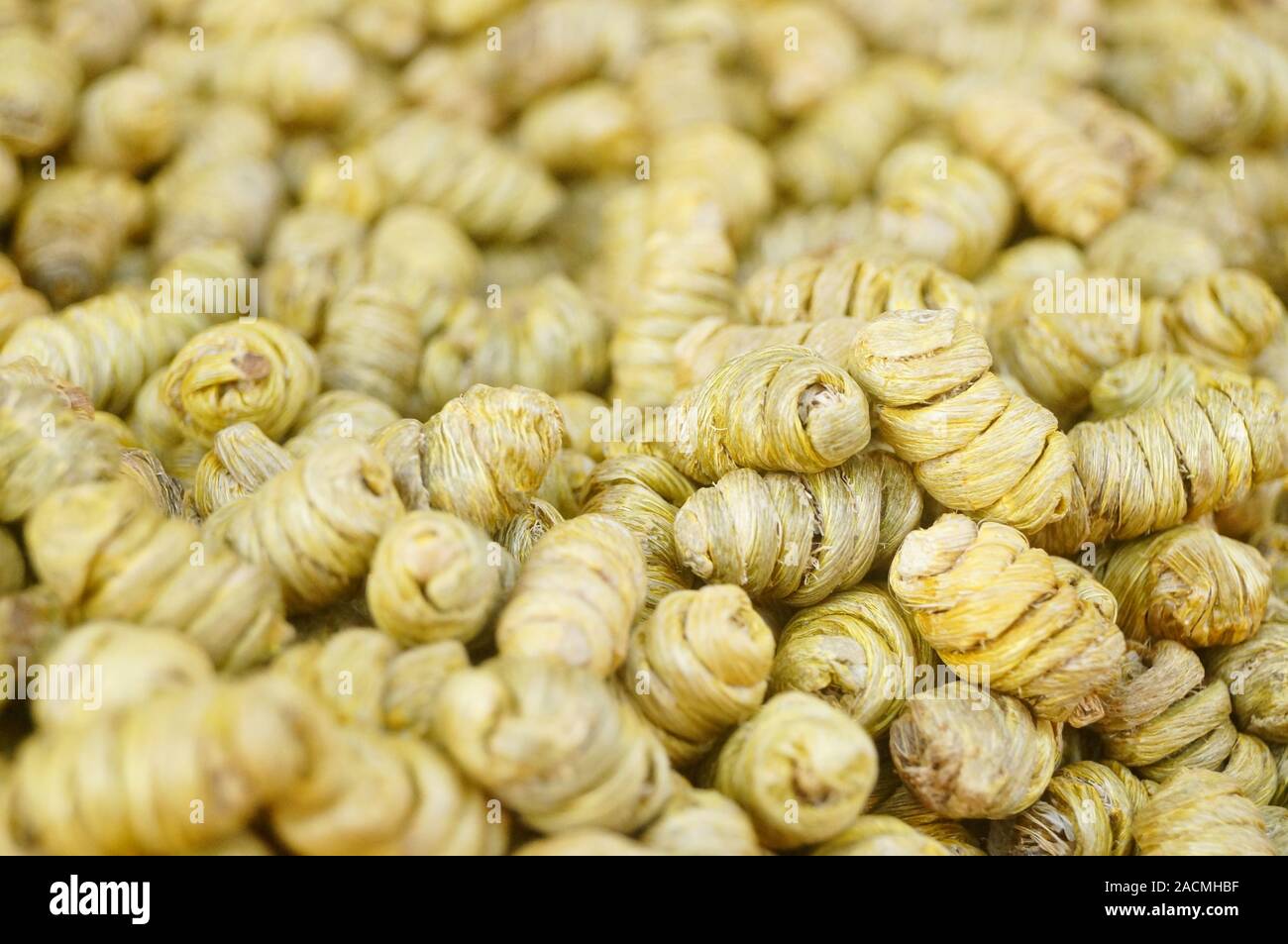 Close-up of dendrobium candidum Stock Photo - Alamy