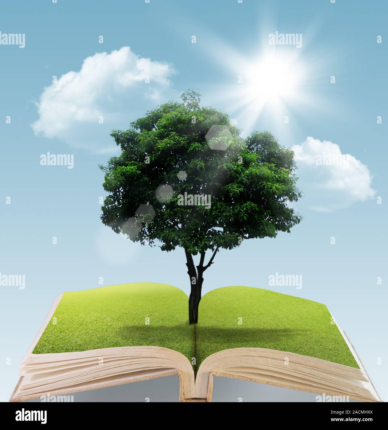 Natural document hi-res stock photography and images - Alamy