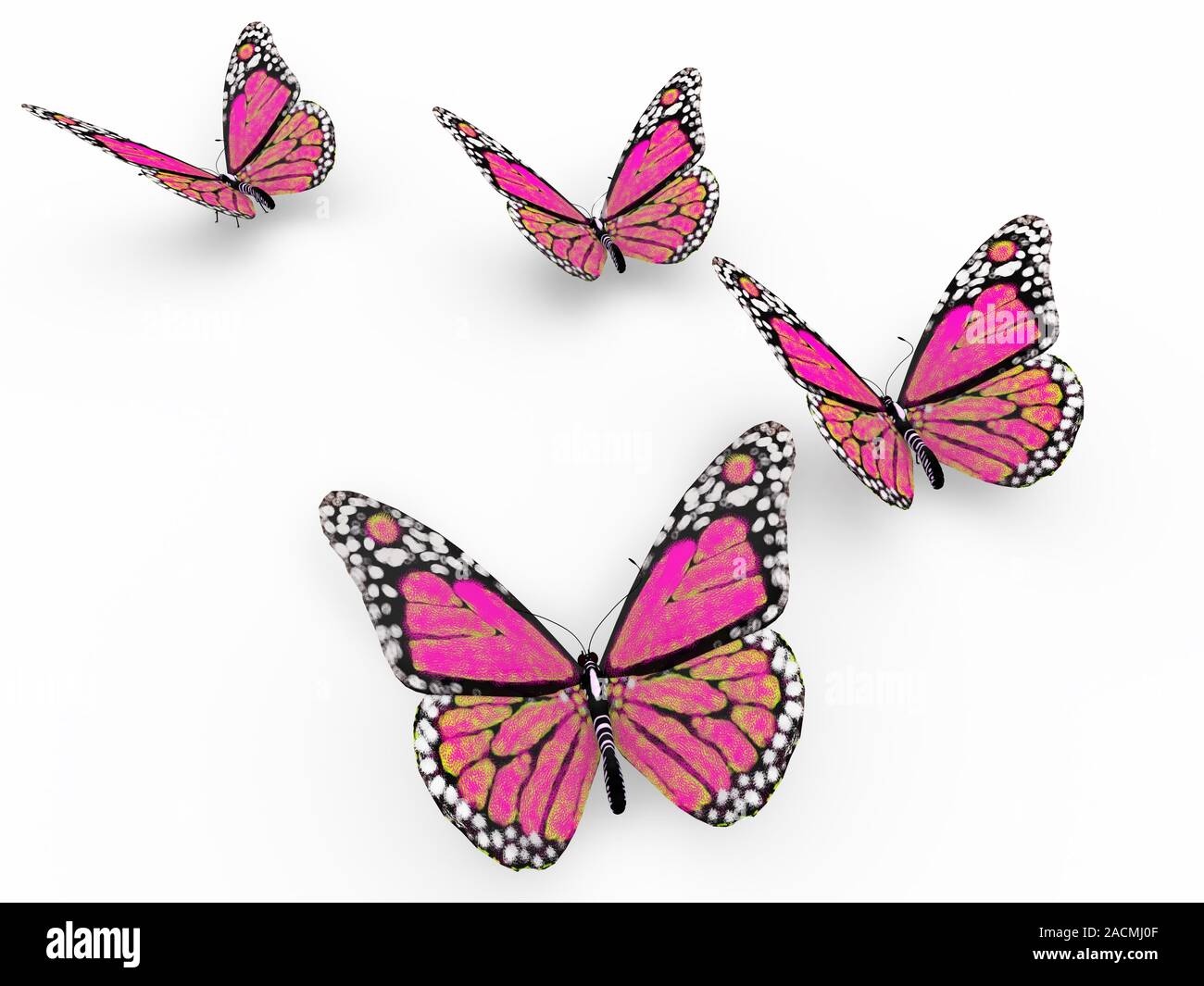 Pink butterfly Cut Out Stock Images & Pictures - Alamy