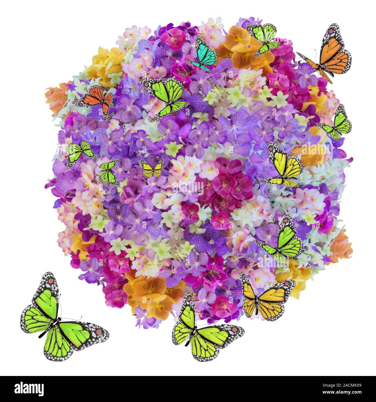 plenty flower and butterfly Stock Photo - Alamy