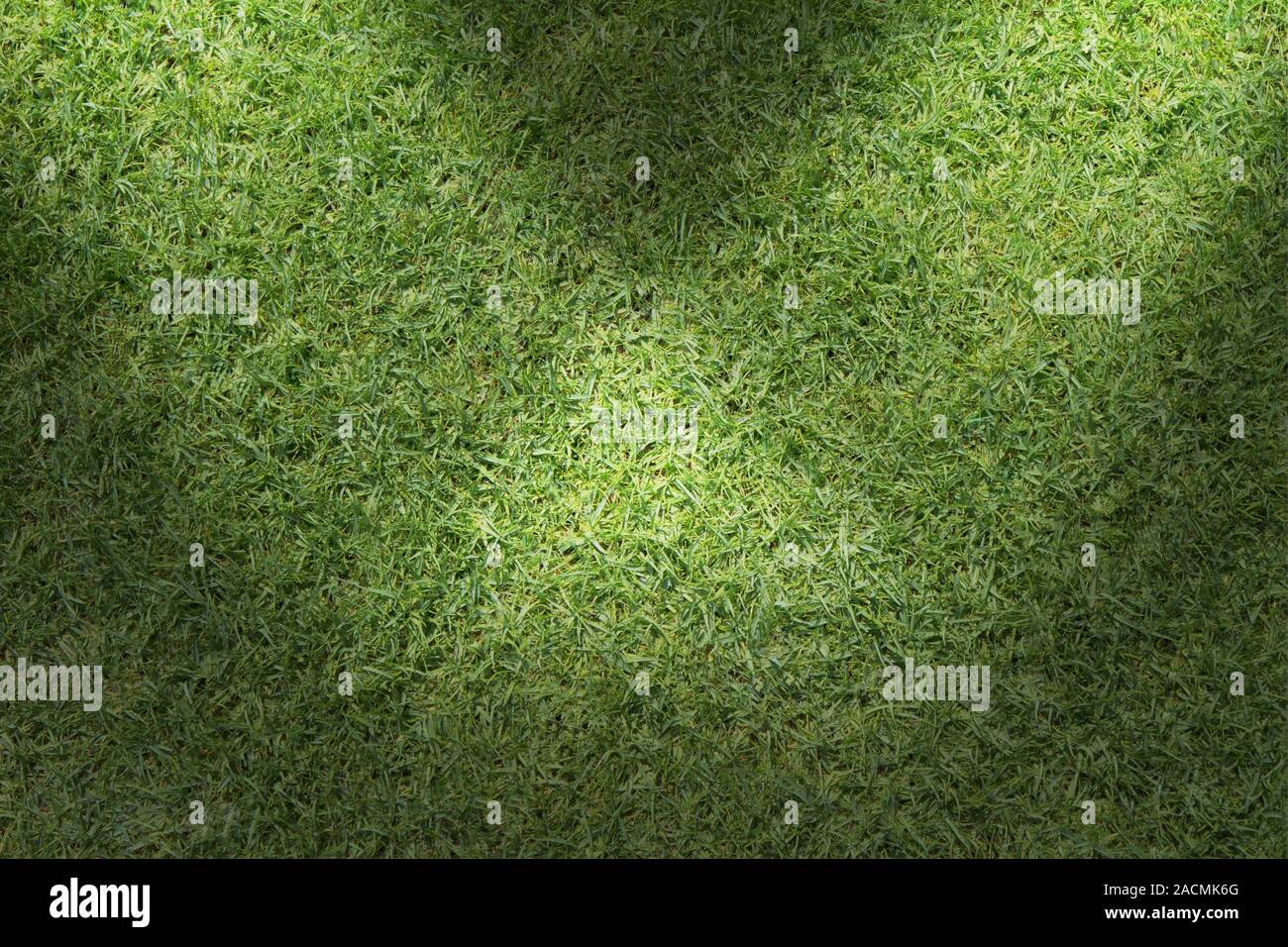 Beautiful green grass texture with sun beam Stock Photo - Alamy