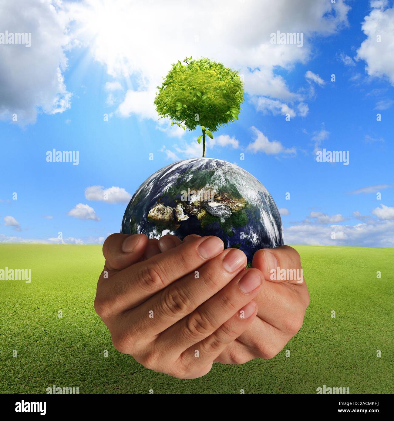 tree on the earth Stock Photo - Alamy