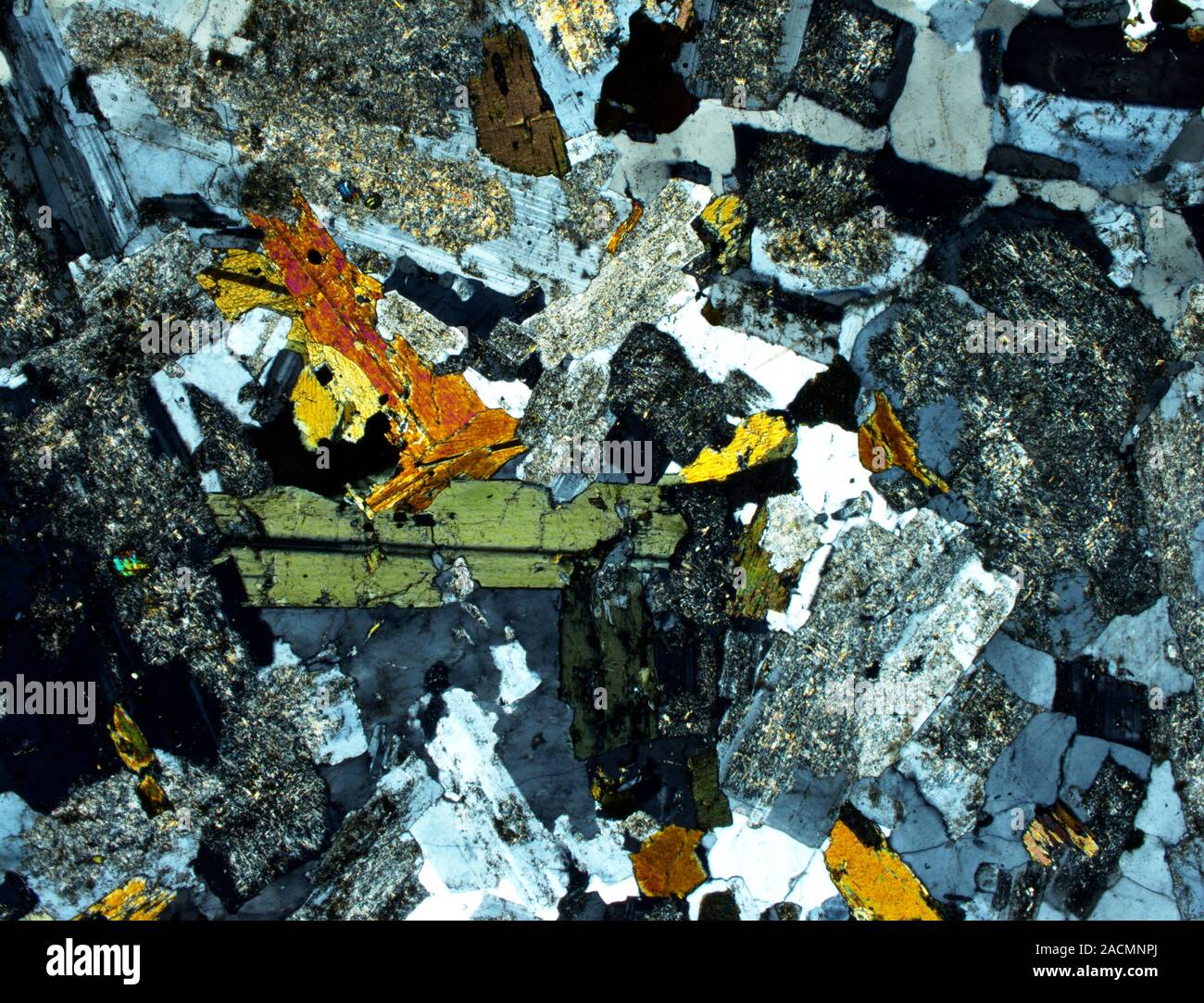 Diorite. Polarised light micrograph (PLM) of a thin section through ...