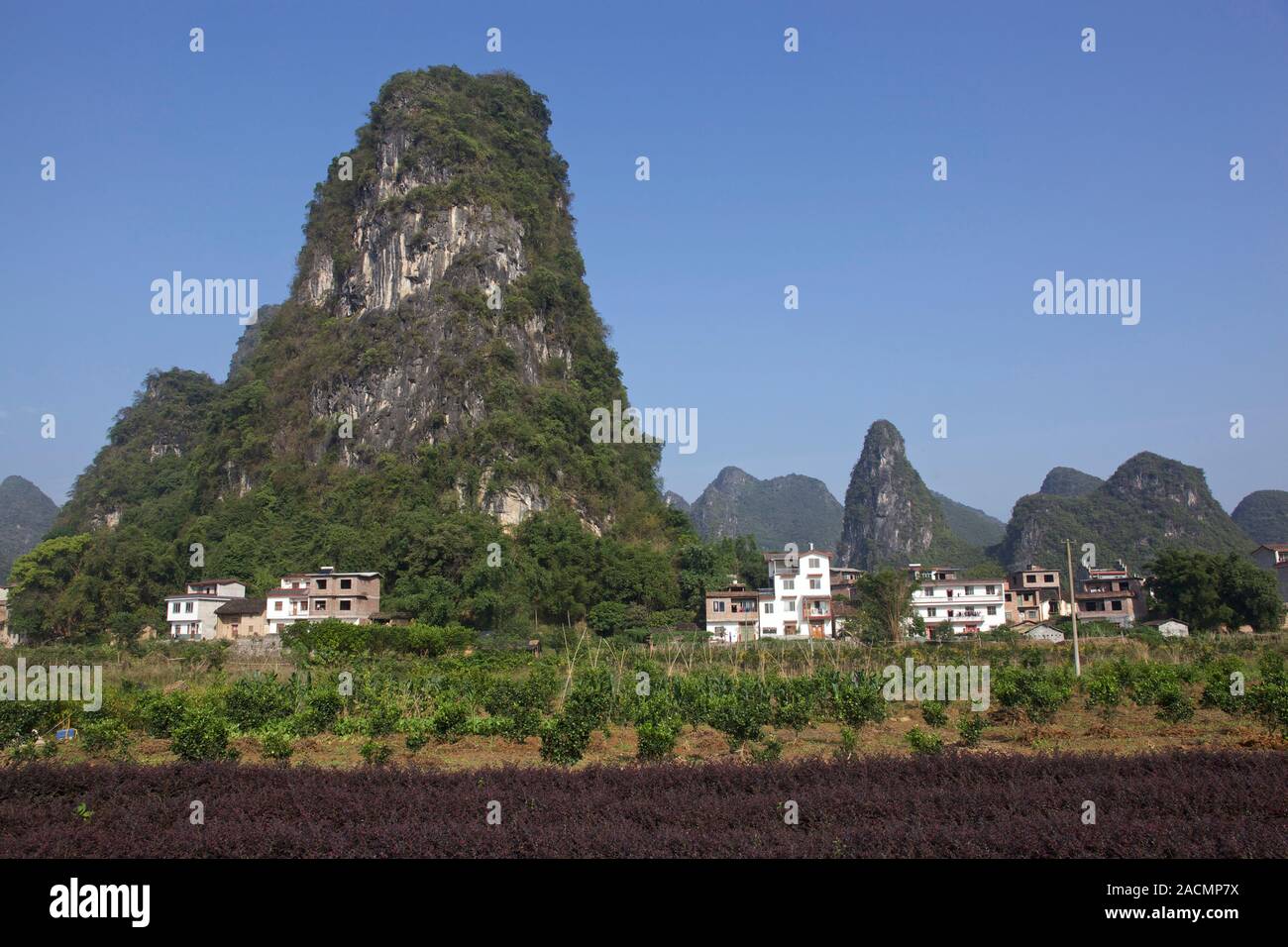 Limestone karst landscape. These limestone peaks have formed as the ...