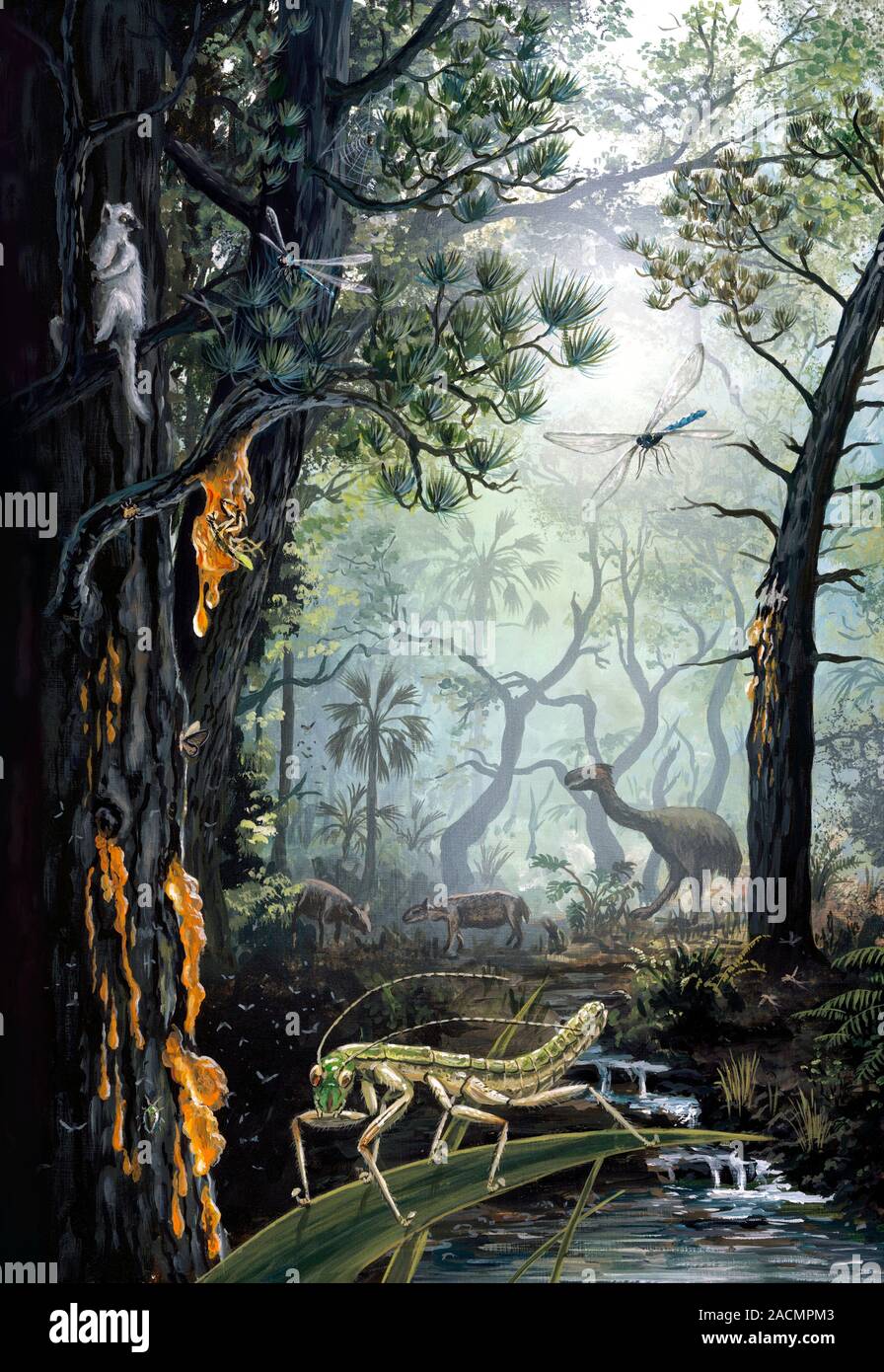 Eocene animals and plants. Artwork of a scene in a Baltic forest in ...