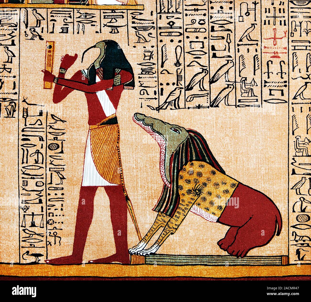 Detail from the judgement of Ani. The ibis-headed Thoth, the scribe of ...