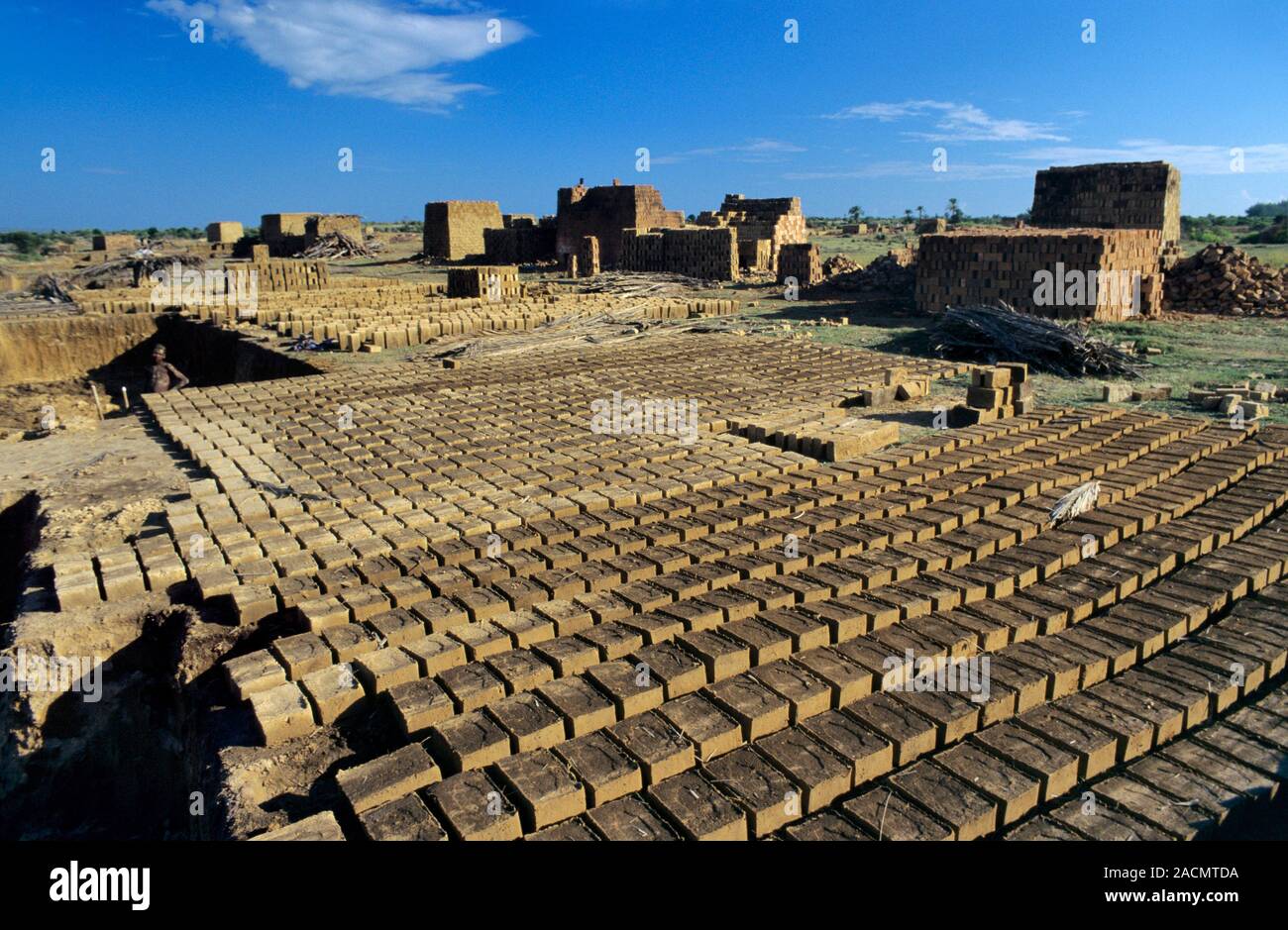 Mud bricks drying in the Sun at a mud brick works in Toliara ...