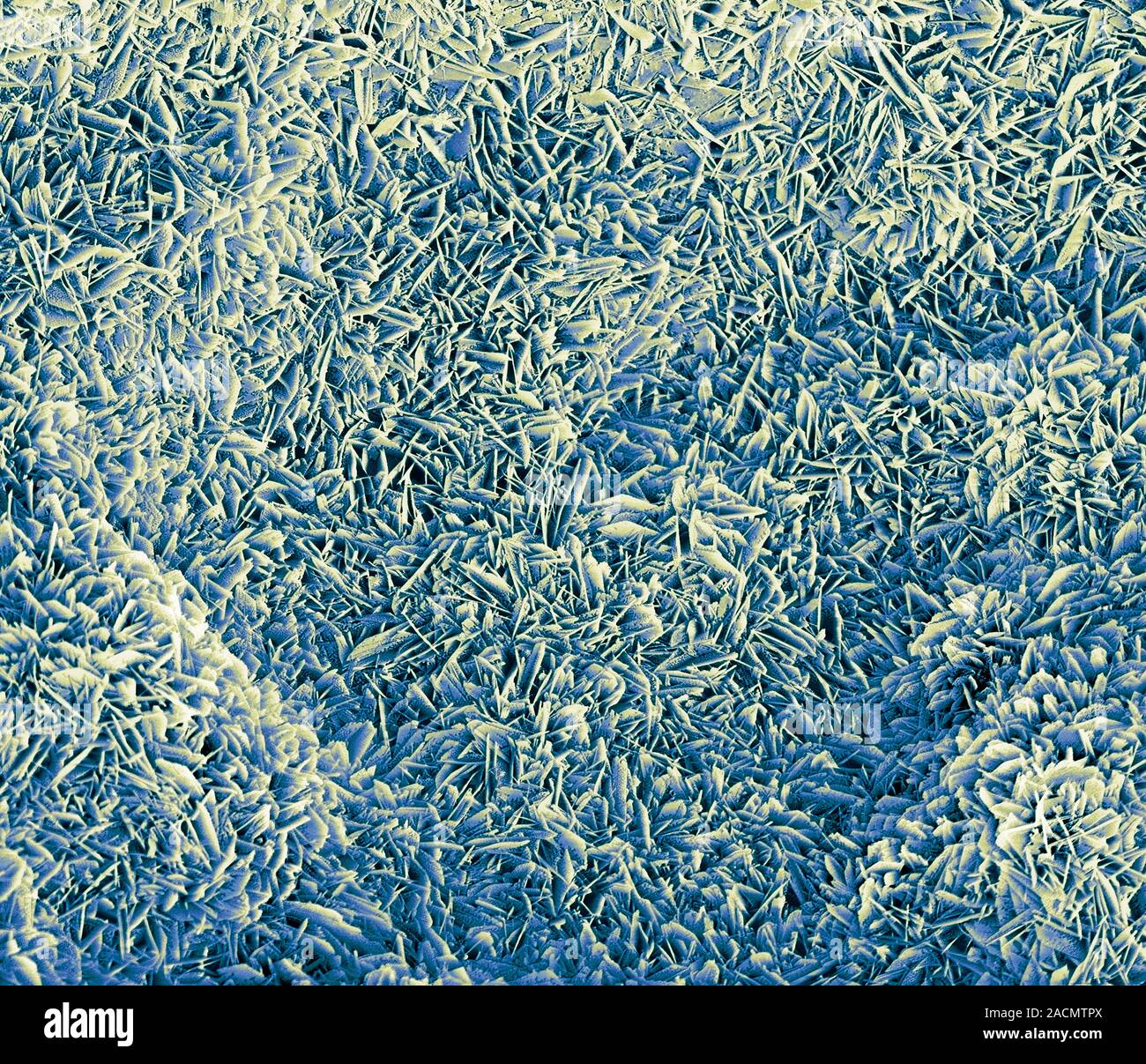 Cat litter. Coloured scanning electron micrograph (SEM) of cat litter ...