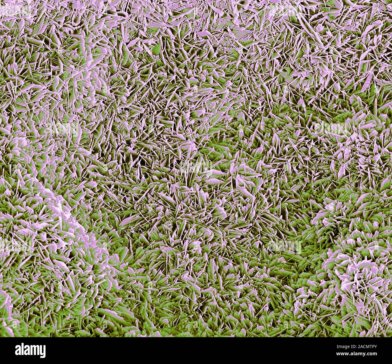 Cat litter. Coloured scanning electron micrograph (SEM) of cat litter ...