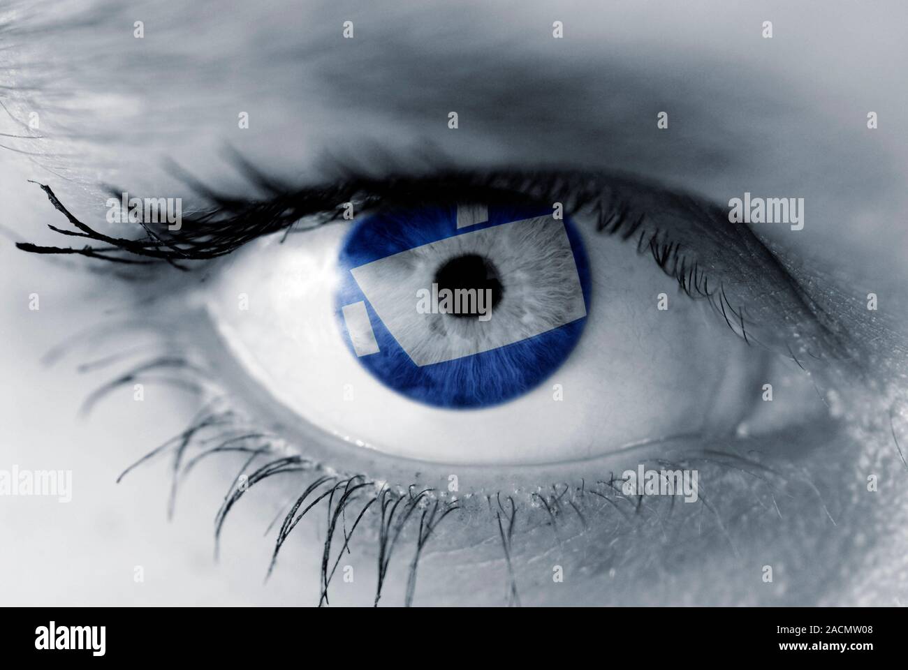 Human surveillance, conceptual image. Computer artwork of a CCTV ...