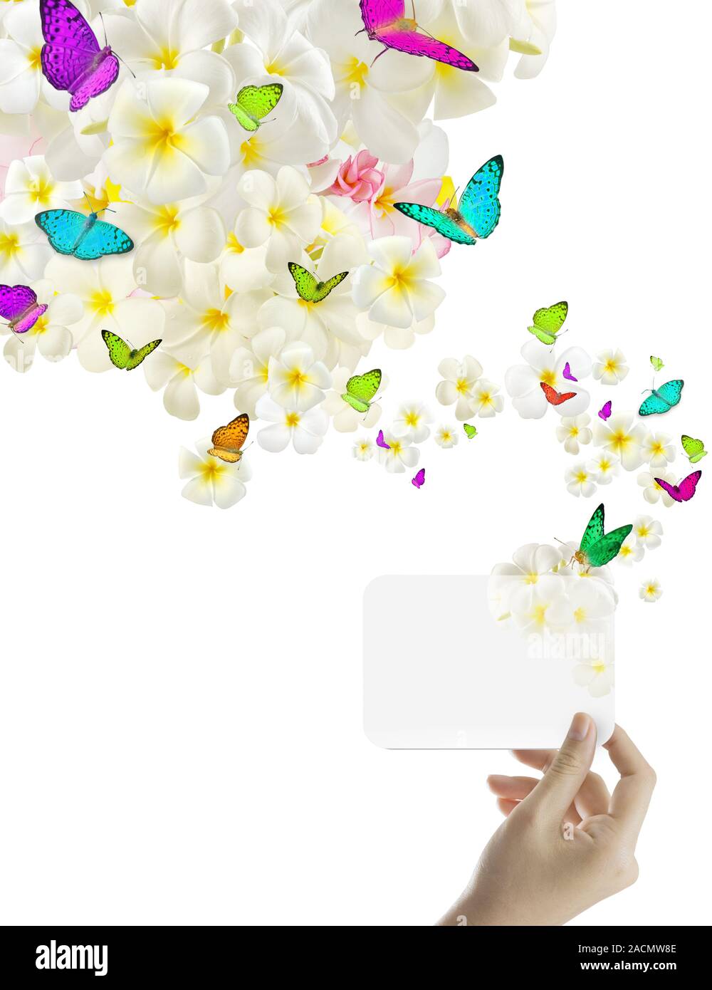 Butterfly design flowers hi-res stock photography and images - Alamy