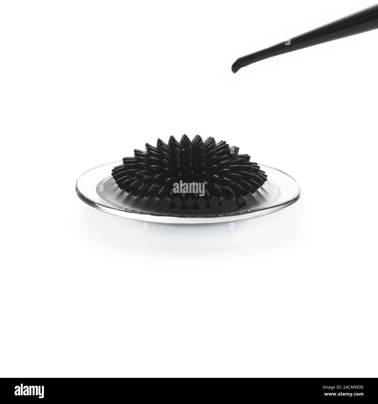 Ferrofluid in a watchglass in the magnetic field produced by a ...