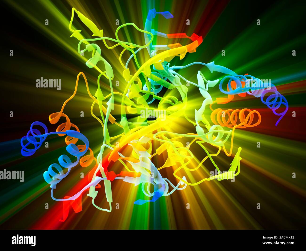 Restriction enzymes, sometimes called restriction endonucleases, are ...