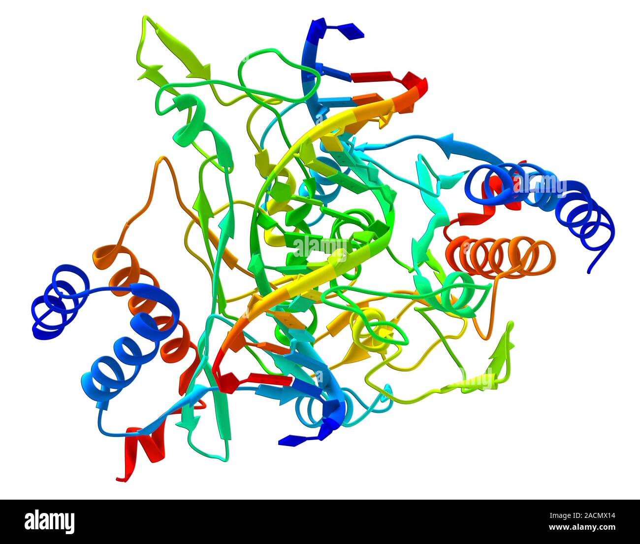 Restriction enzymes, sometimes called restriction endonucleases, are ...