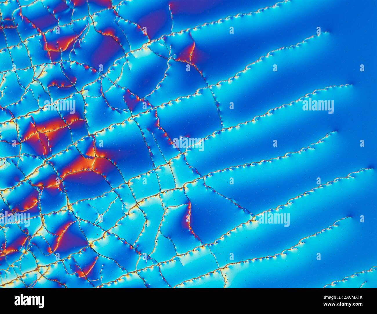 Micrograph of the surface of ferrofluid, taken with episcopic lighting ...