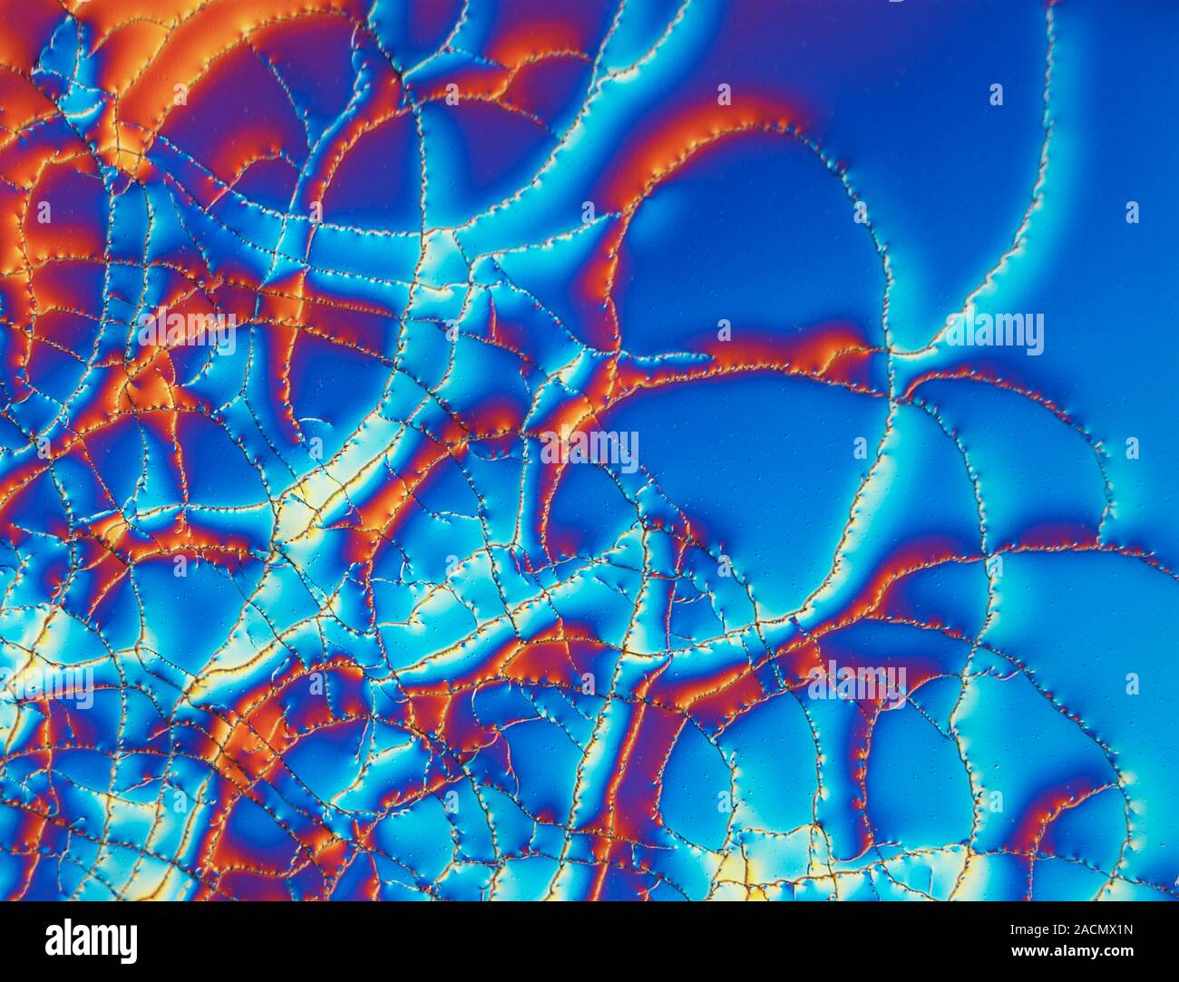 Micrograph of the surface of ferrofluid, taken with episcopic lighting ...