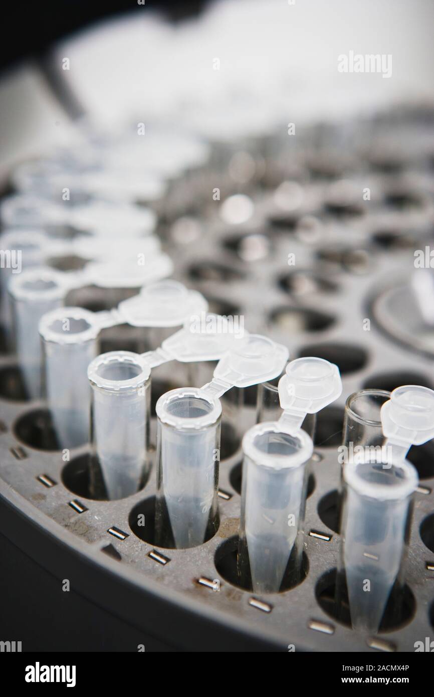 Fast protein liquid chromatography. Close-up of vials ready to be ...