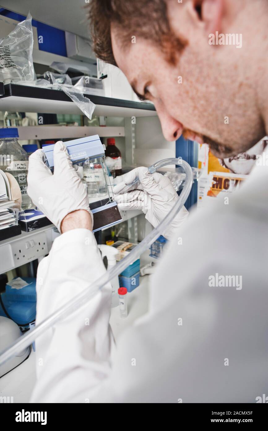 Kinase profiling. Researcher analysing protein kinase inhibitors to ...