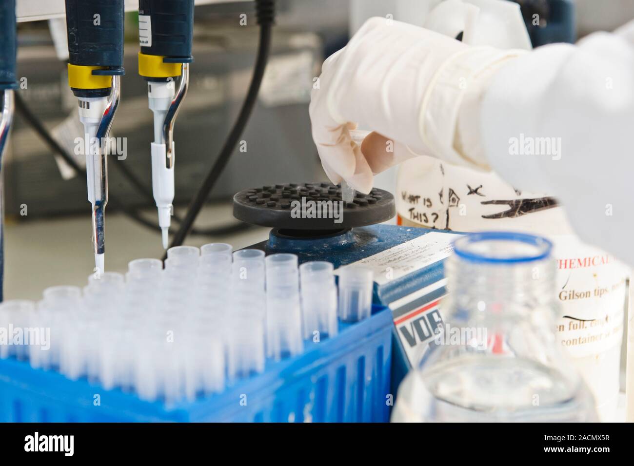 Protein research laboratory. Researcher in a laboratory at the Medical ...