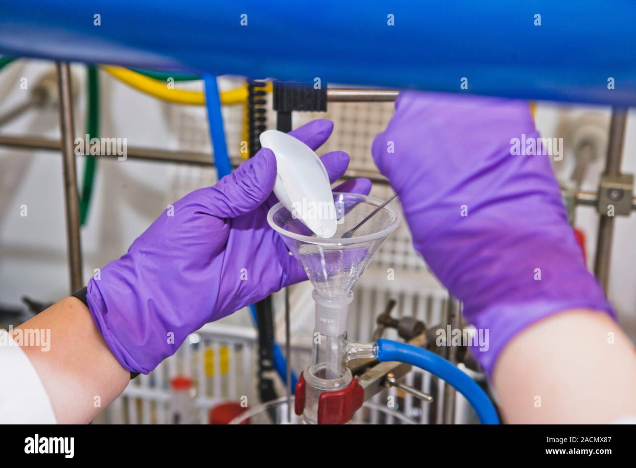 Protein kinase research. Researcher synthesising protein kinases as ...
