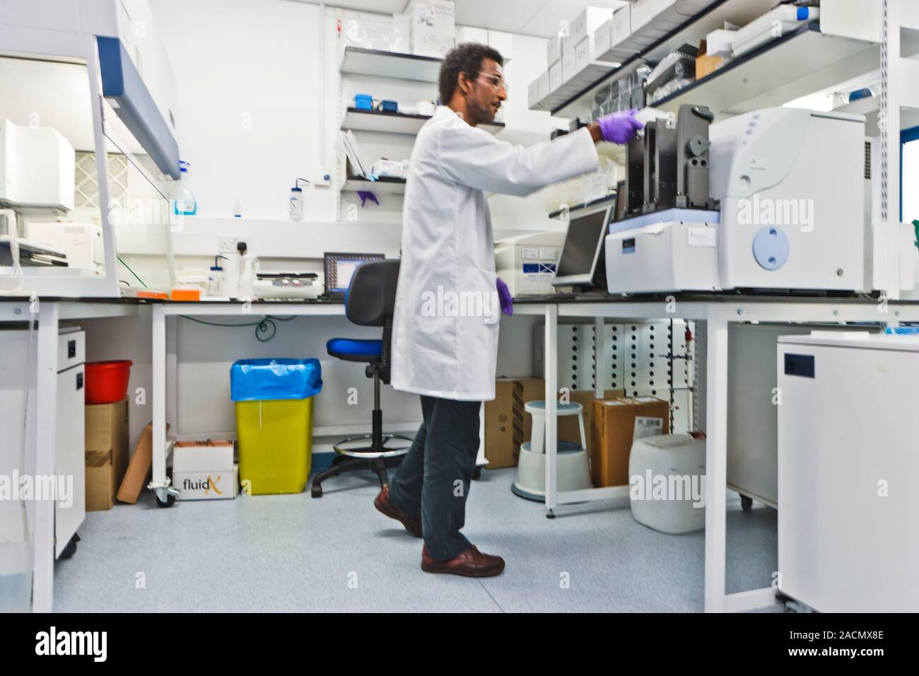 Protein research laboratory. Researcher loading protein samples into an ...