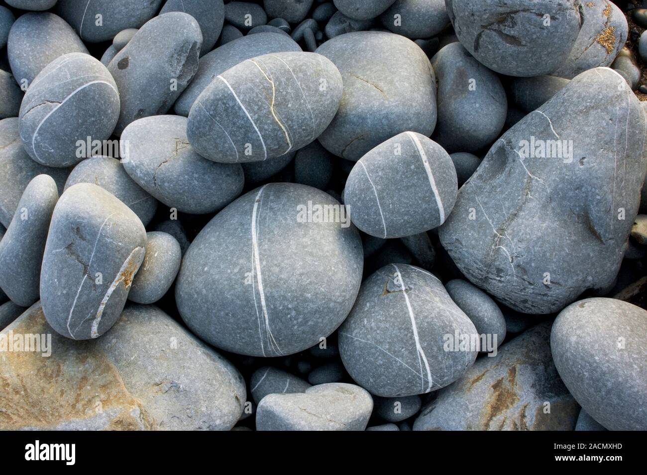 Rounded sandstone beach pebbles at Hartland Quay, north Devon, United ...