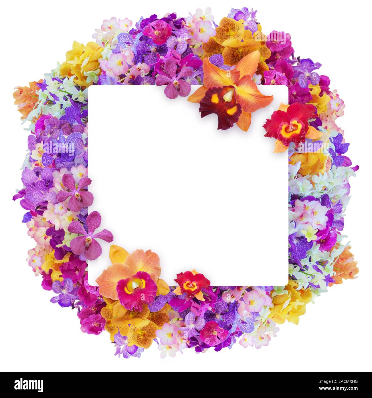 Red flowers with bee Cut Out Stock Images & Pictures - Alamy