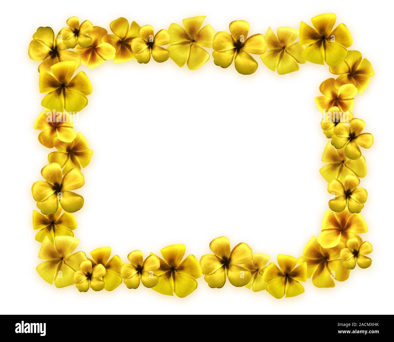 Lily moo Cut Out Stock Images & Pictures - Alamy