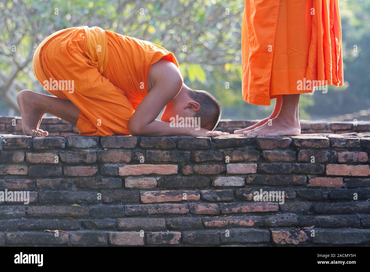 young Buddhist monks Stock Photo - Alamy