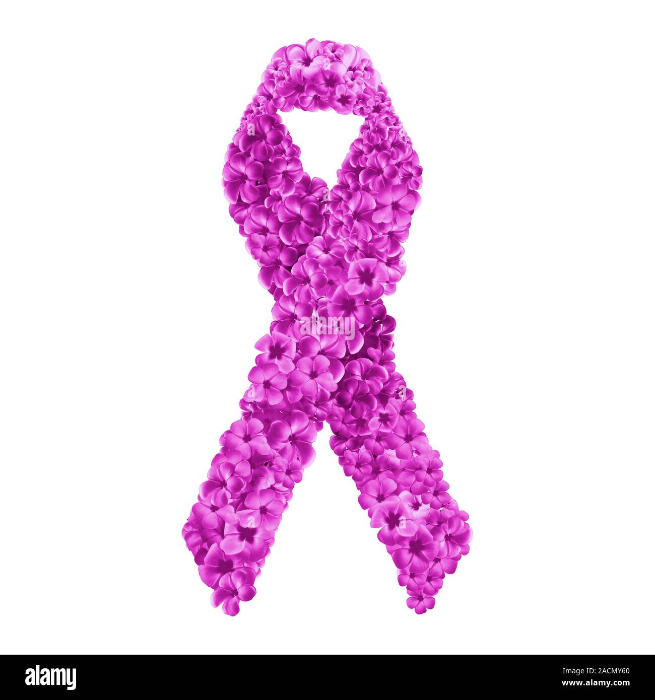 Scroll banner paper ribbon Cut Out Stock Images & Pictures - Alamy