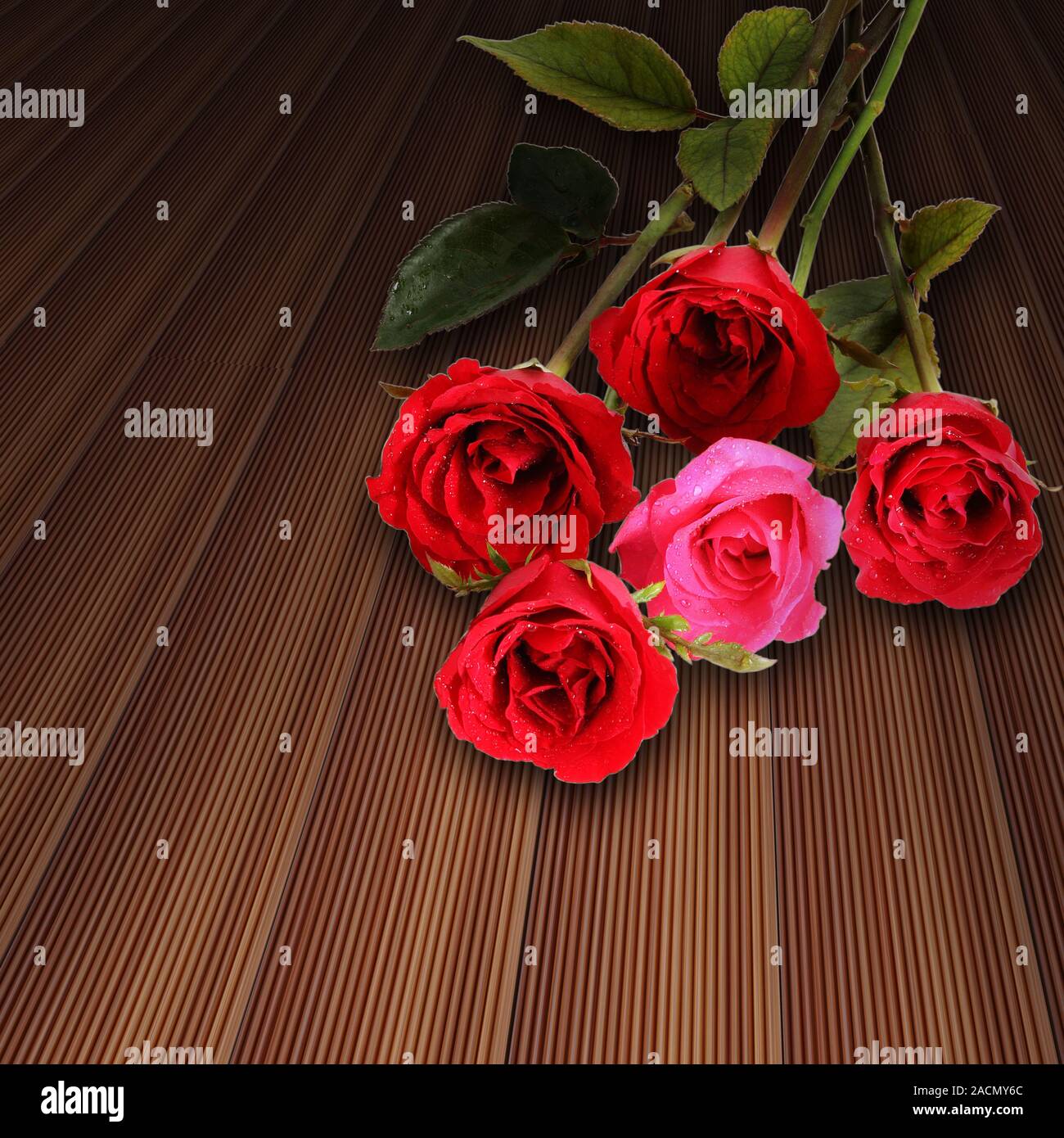 many red roses Stock Photo - Alamy