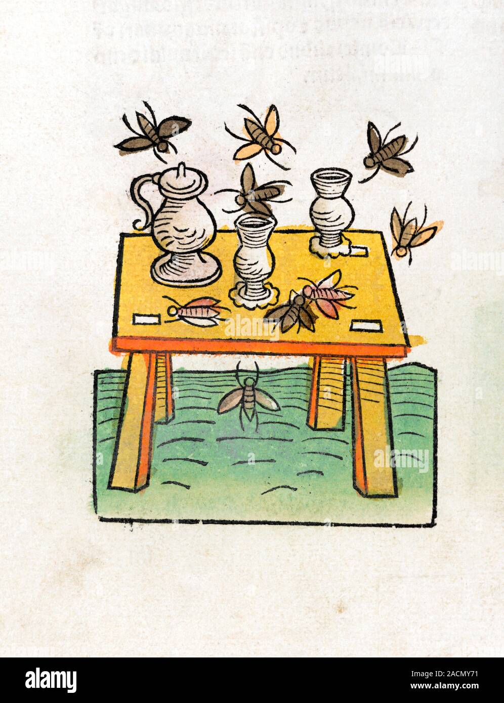 Insects and drinks. 15th-century artwork of insects (wasps, bees or ...