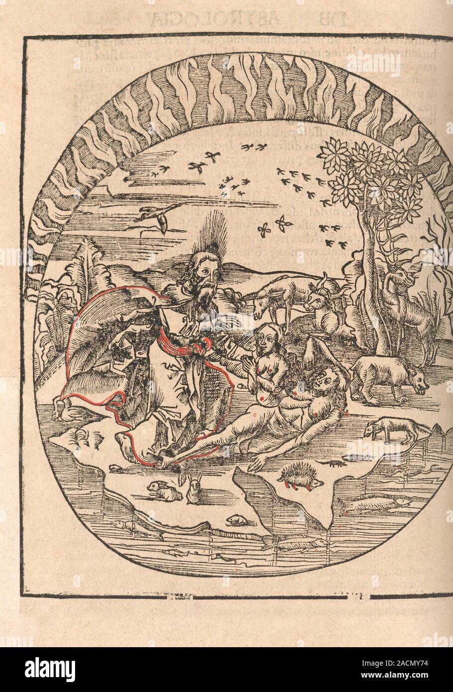 Natural philosophy. 16th-century artwork representing natural ...