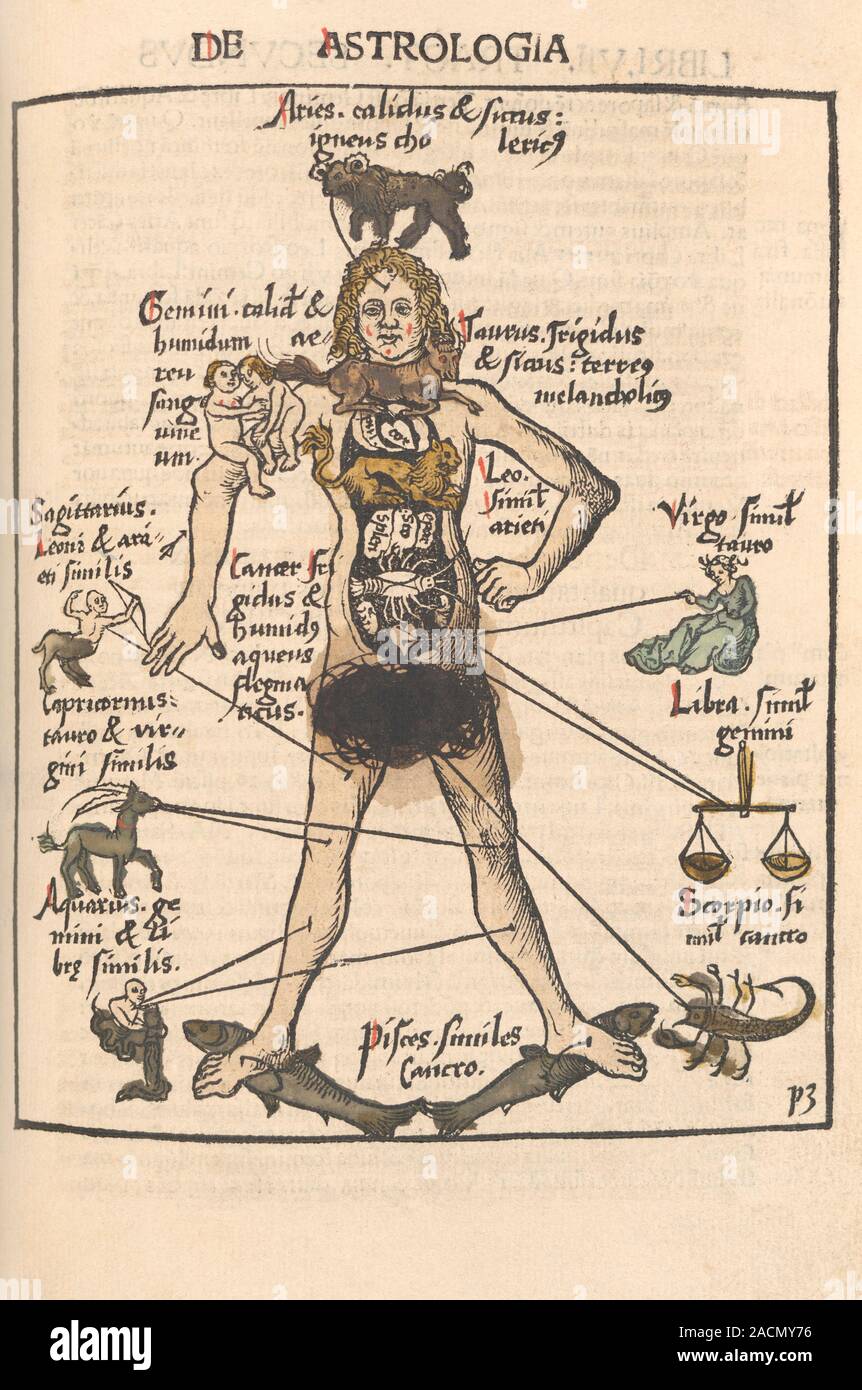 Zodiac Man. 16th-century artwork of Zodiac Man with arrows from the ...