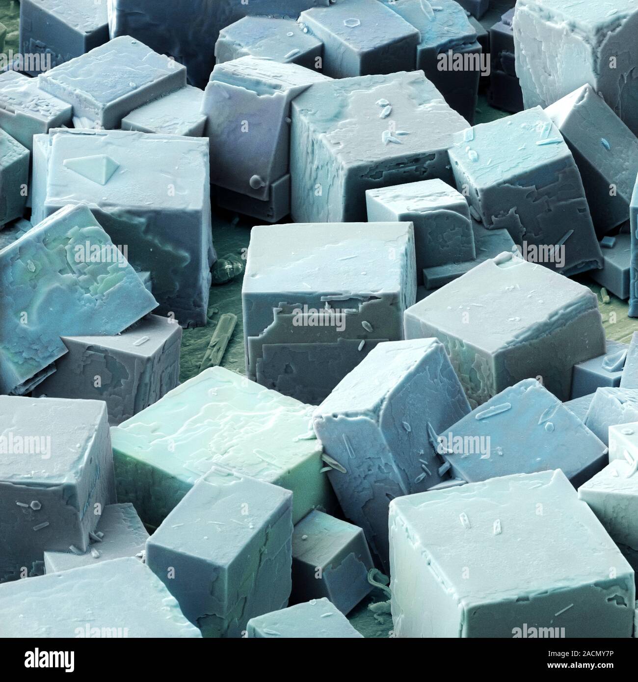 Coloured scanning electron micrograph (SEM) of common salt, sodium ...