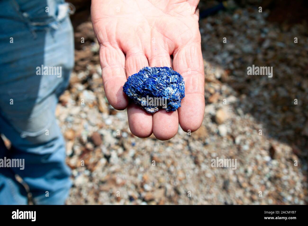 Azurite in host rock. Geologist holding a sample of azurite, a hydrated ...