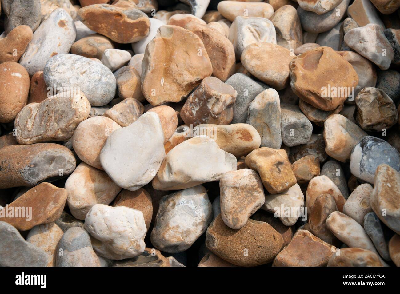 Shingle on a beach Stock Photo - Alamy