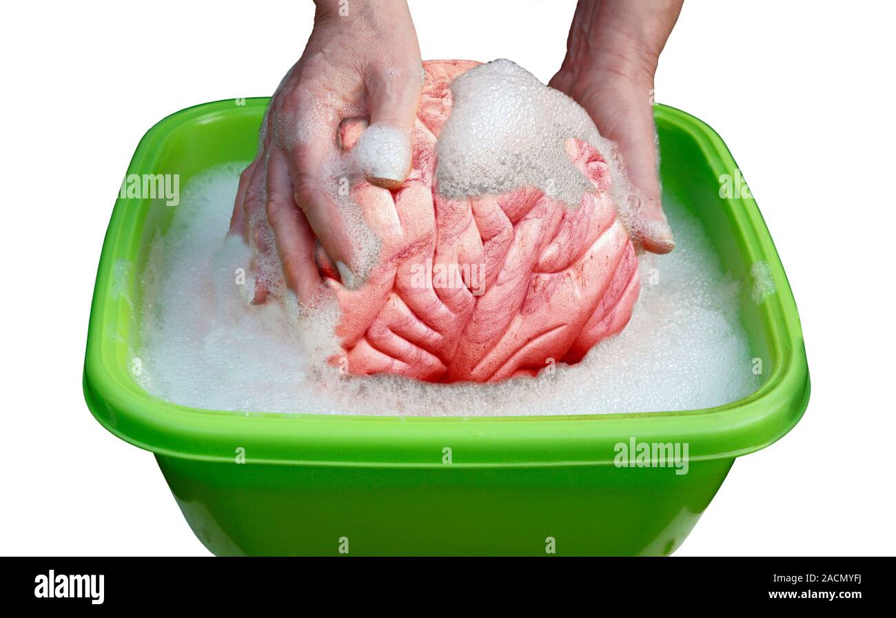 Brainwashing. Conceptual image of a brain being washed in a bowl of ...