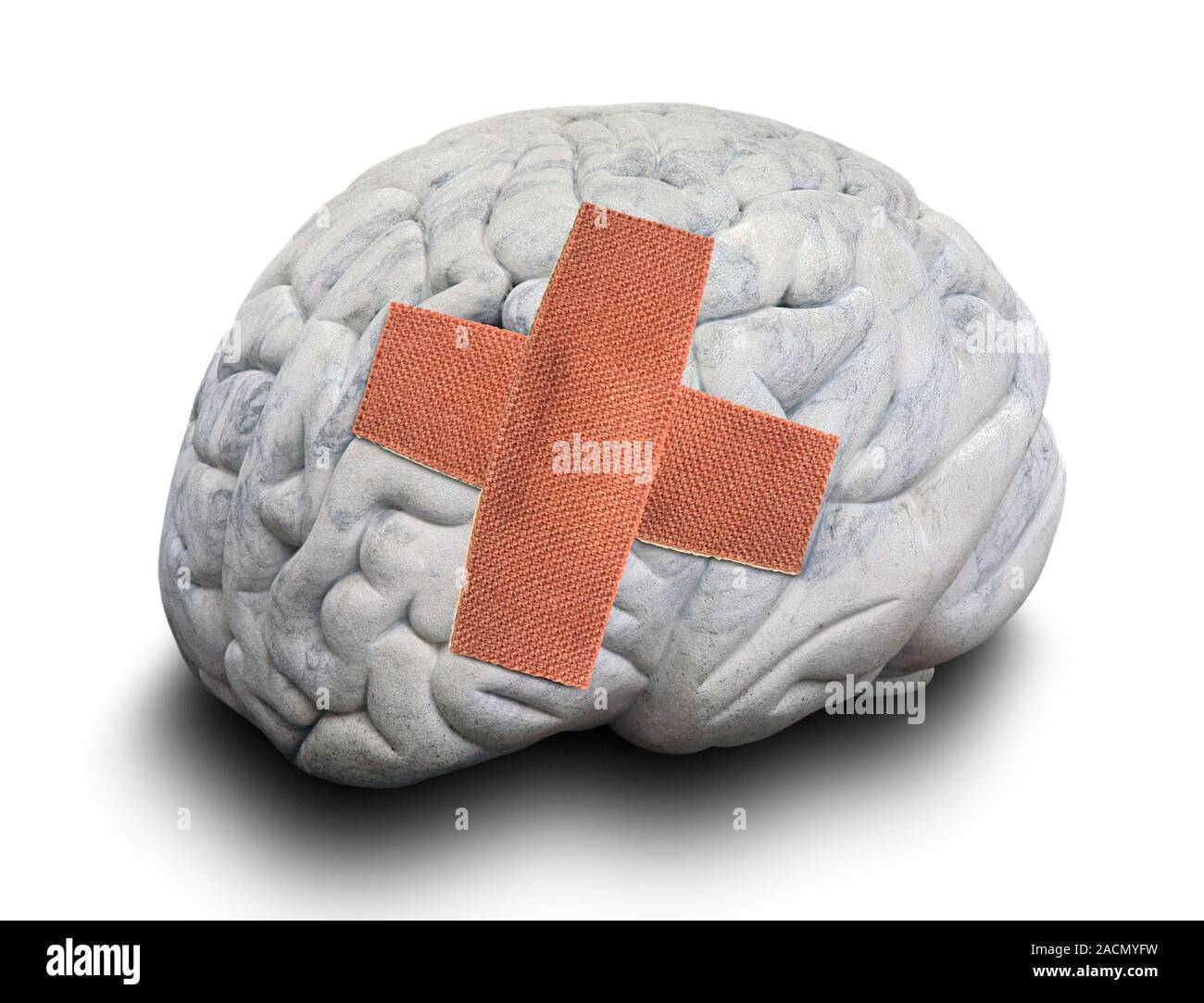 Brain damage. Conceptual image of a brain with a sticking plaster ...