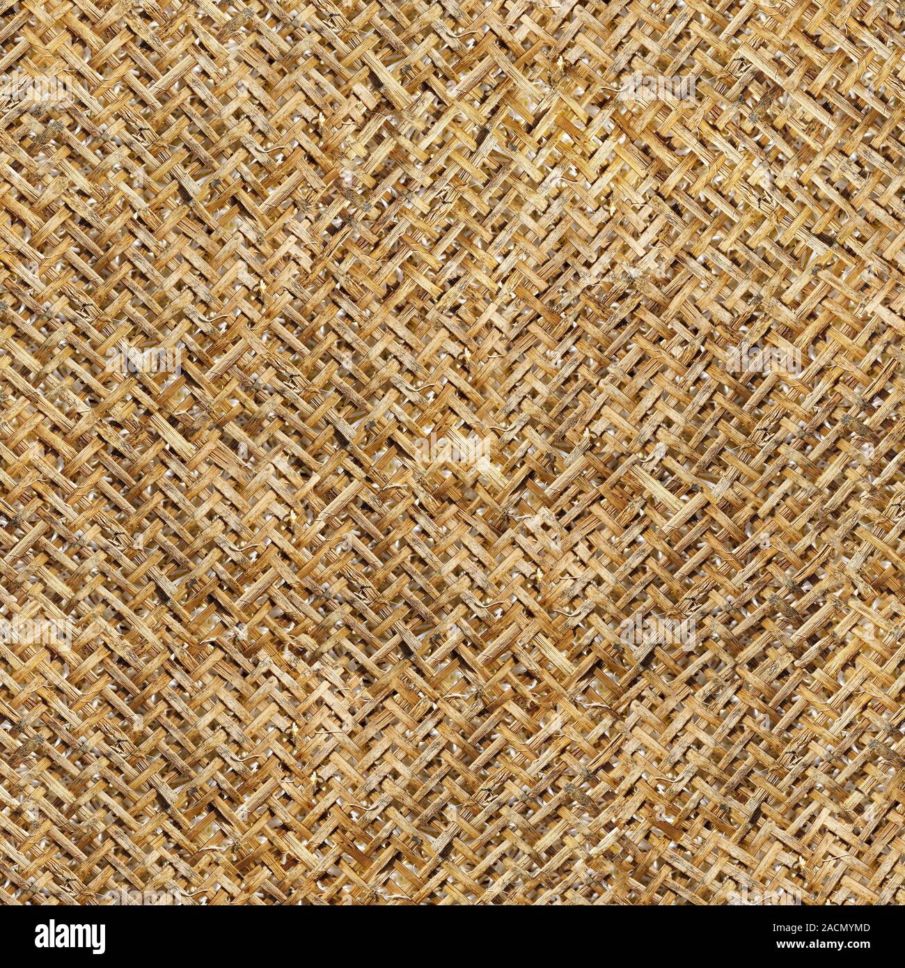 Bamboo patch hi-res stock photography and images - Alamy