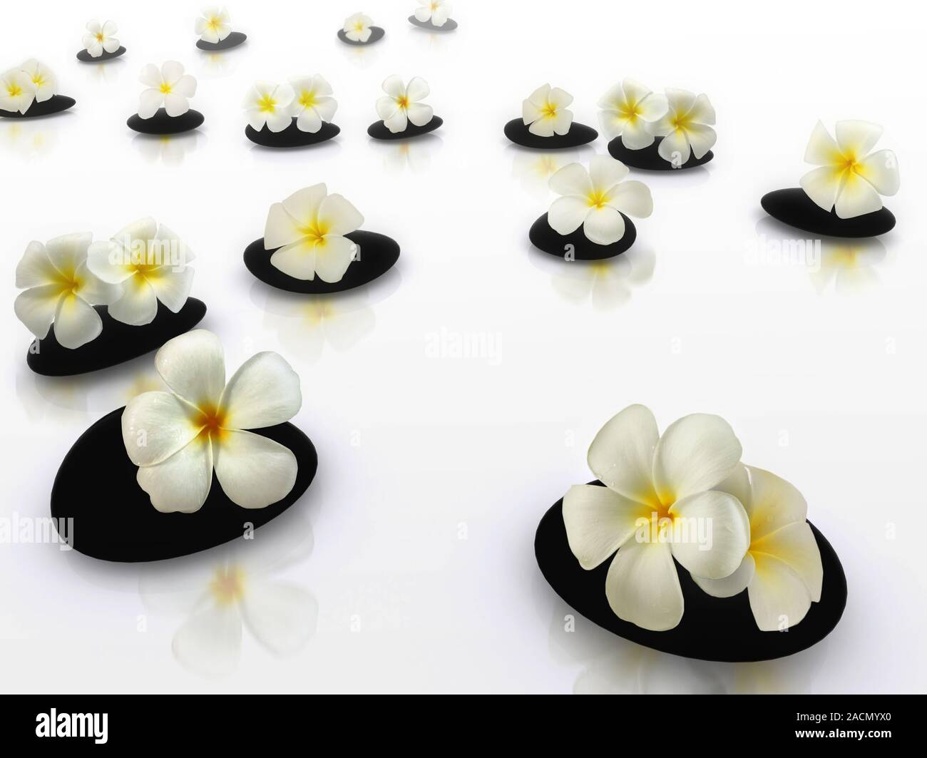 butterfly on flowers Stock Photo - Alamy