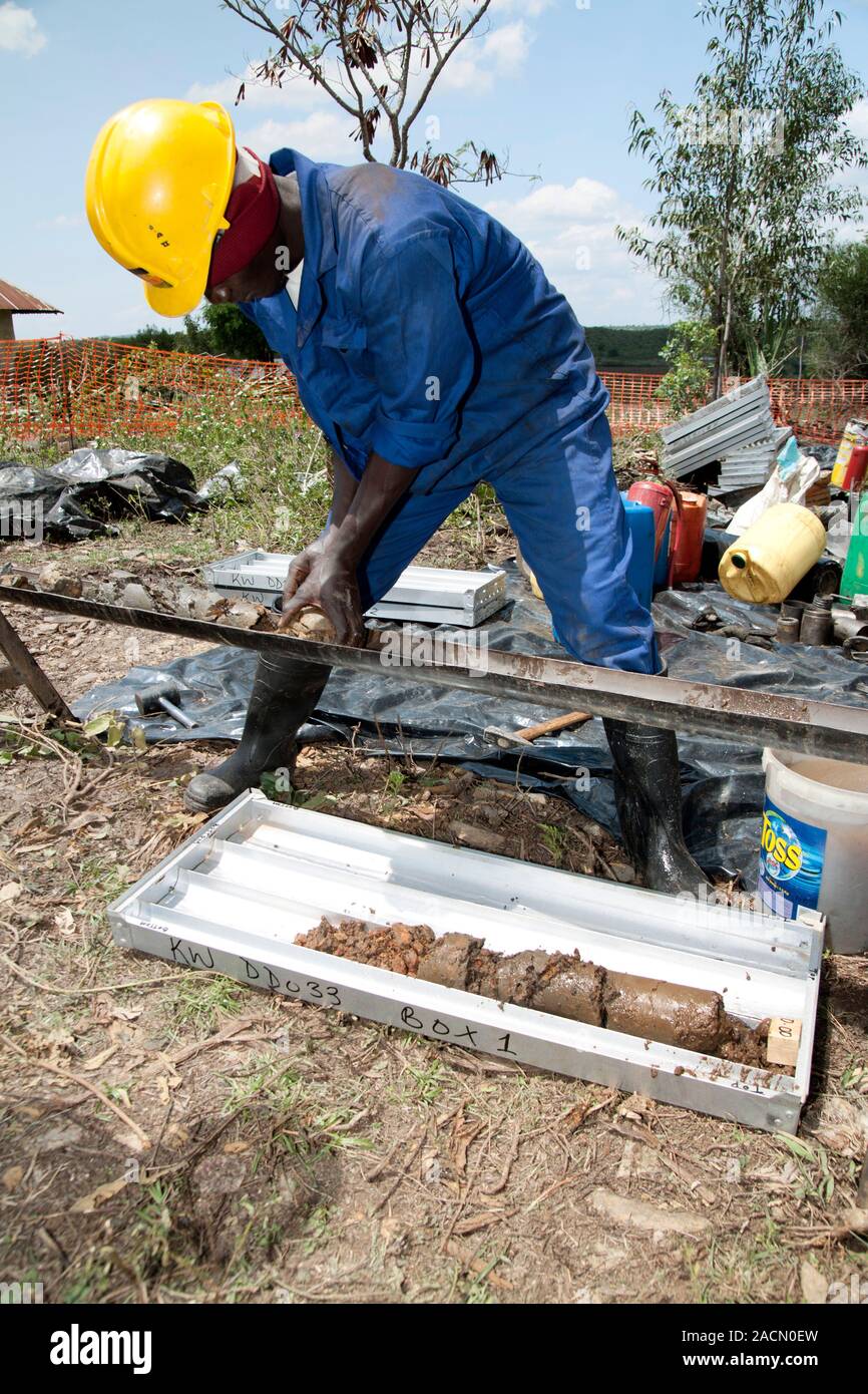 Mineral exploration drilling. Worker removing the core from drill rods ...