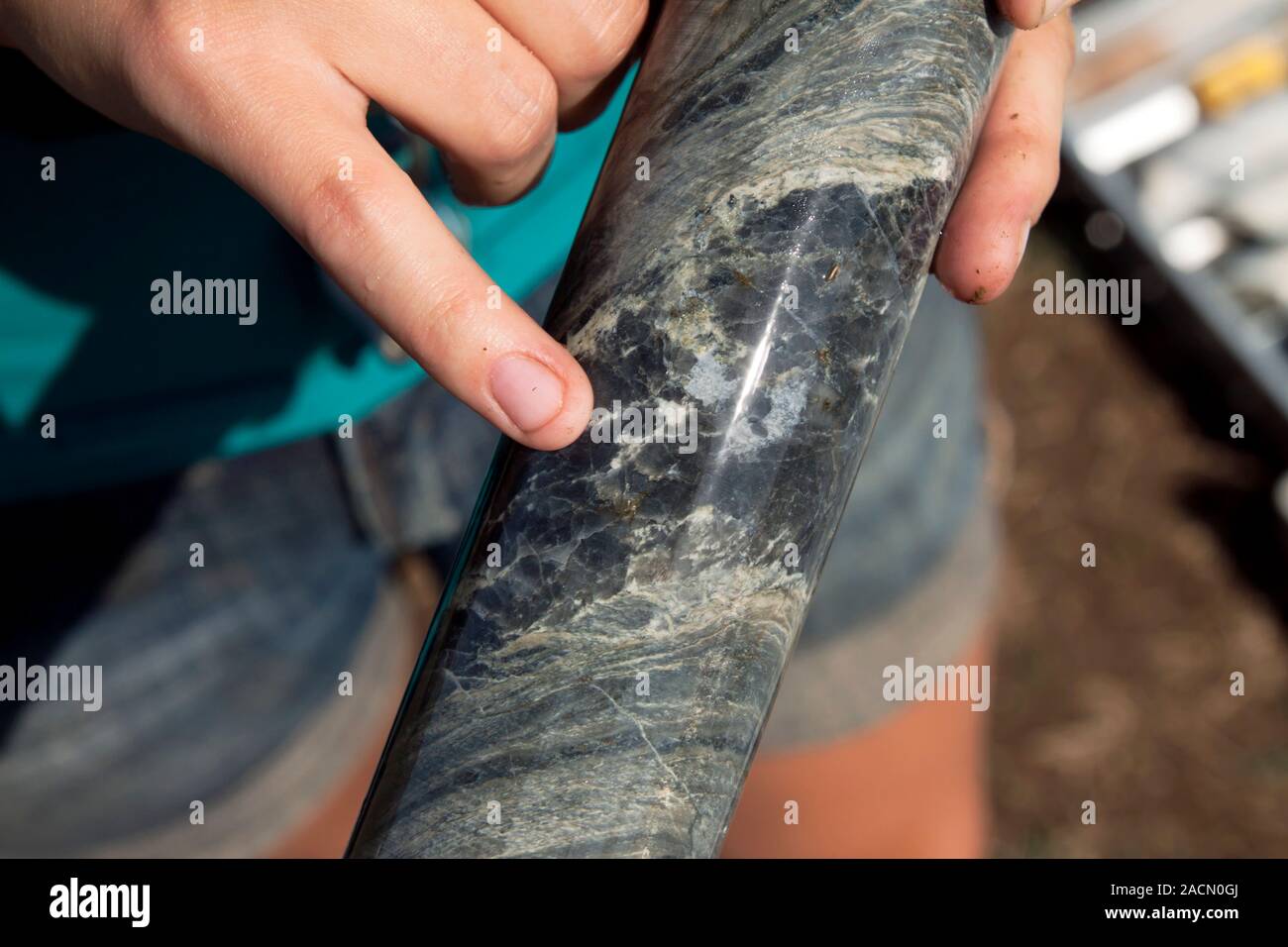 Mining Core Sample Geologist Examining Mineral Core Samples Obtained