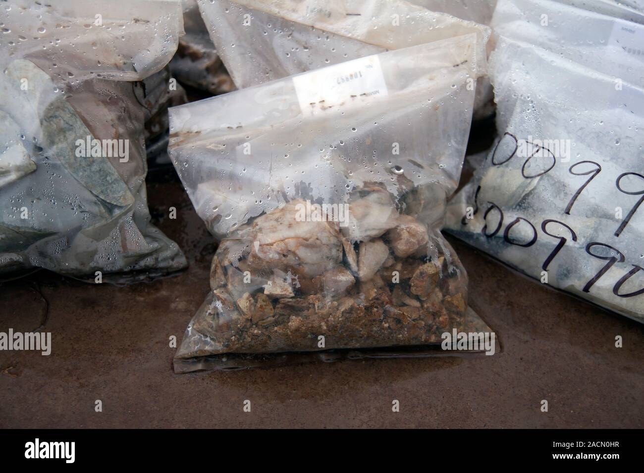 Mining core samples. Mineral core samples obtained during a mineral ...