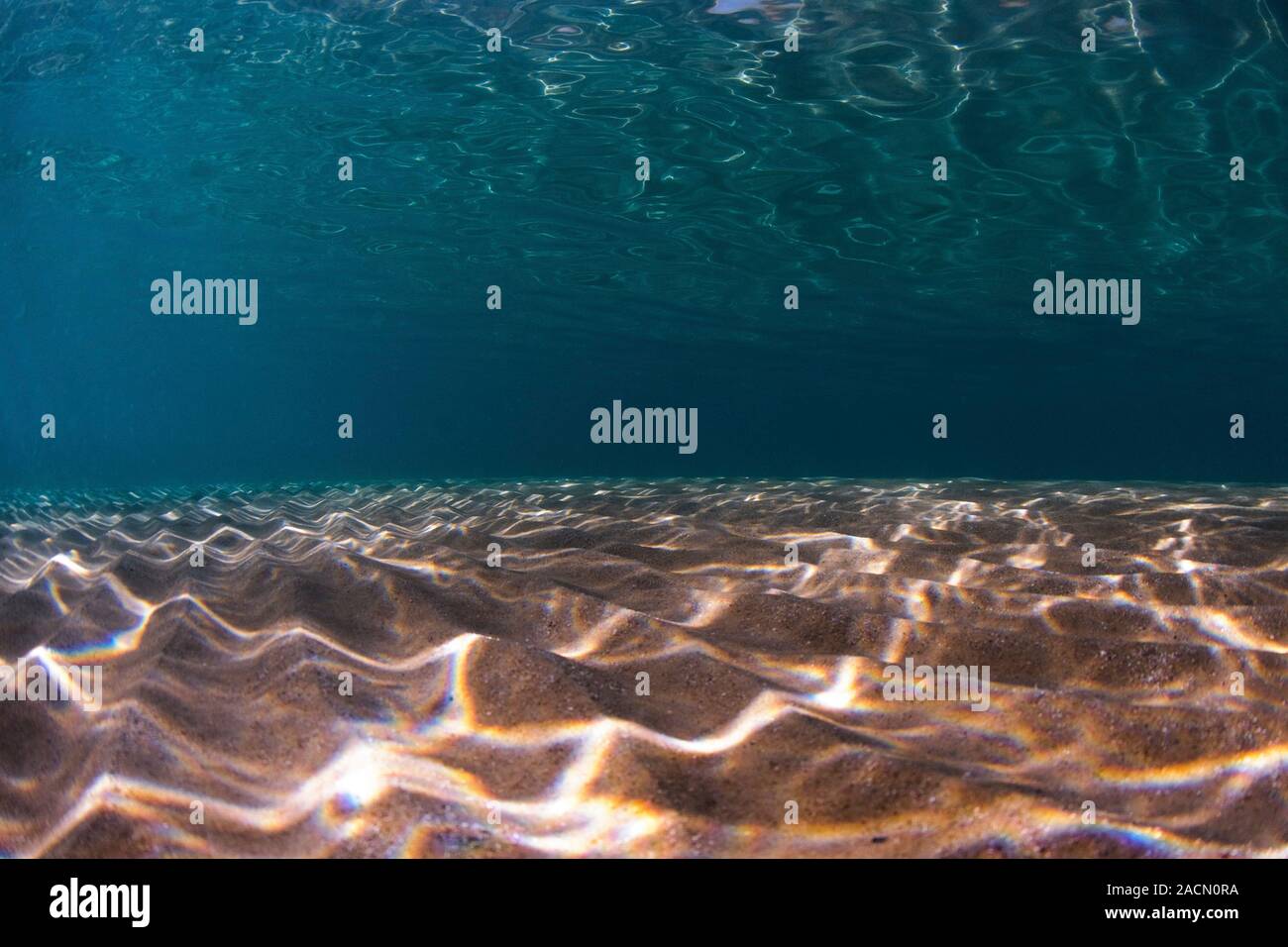 Sandy sea bed photographed underwater Stock Photo - Alamy