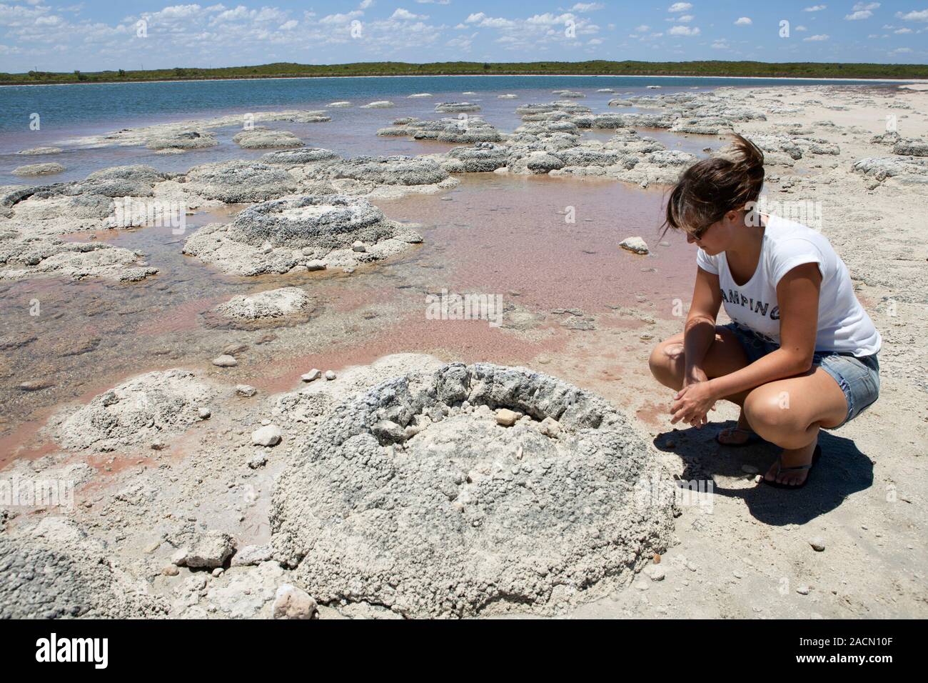 Stromatolites. Stromatolites are mineralised microbial communities ...
