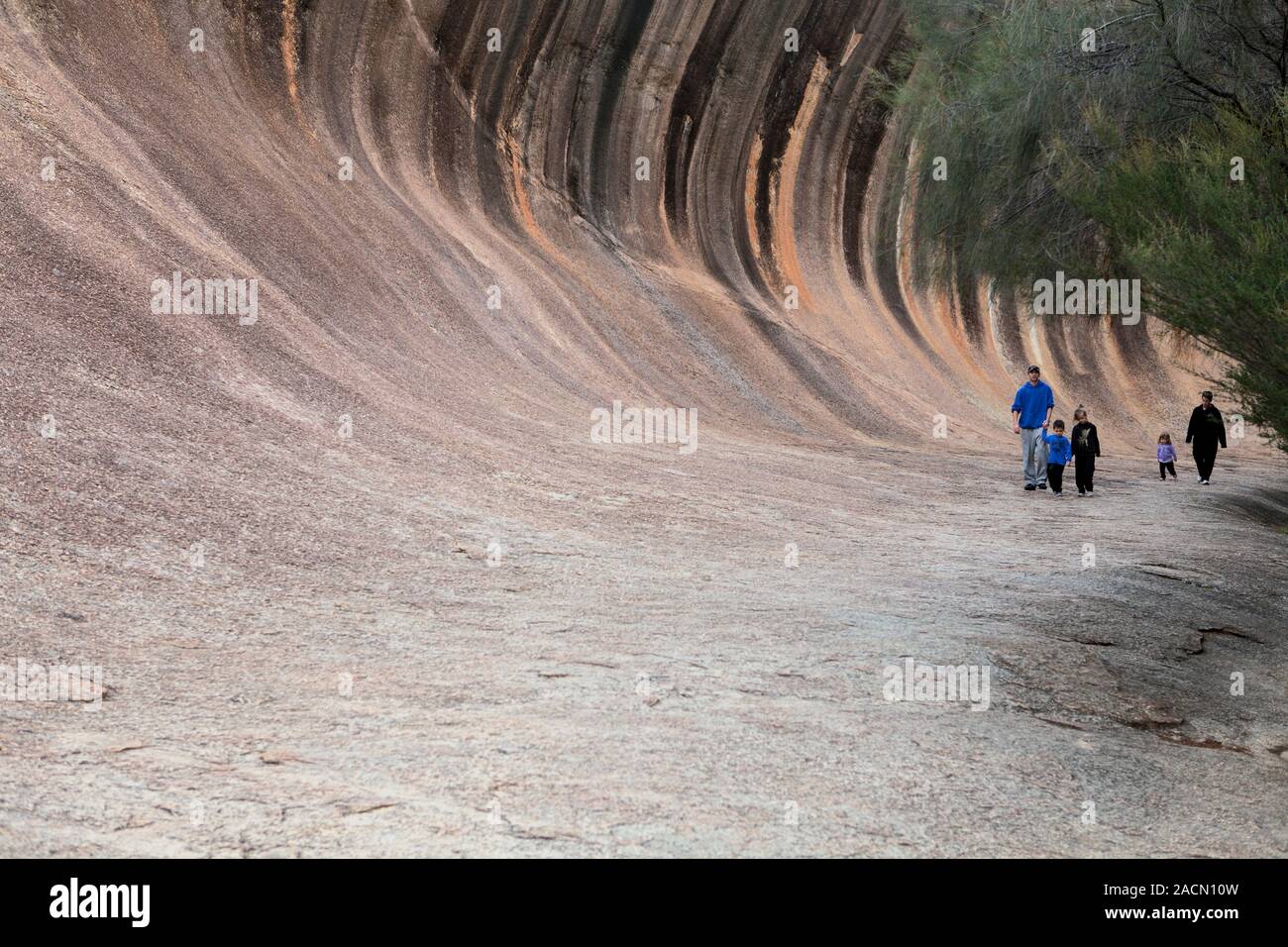 Wave Rock. This granite cliff is 15 metres tall and 110 metres long ...
