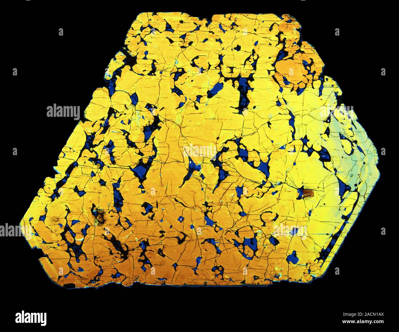 Pyroxene autige. Polarised light micrograph of a thin section of augite ...